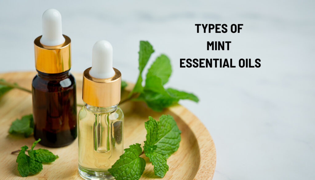 Mint Products Archives - Thykn (India) International